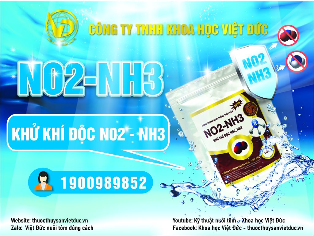 2 BƯỚC KHỬ KHÍ ĐỘC NO2/NO3 HIỆU QUẢ NHẤT - Công ty TNHH Khoa Học Việt Đức